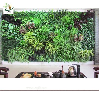 China UVG GRW027 Artificial Green Wall Lifelike Plastic Plants 50x50cm Indoor Garden Landscaping for sale