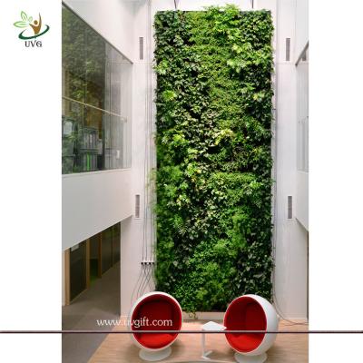 China UVG GRW031 Artificial Plant Panel 50x50cm Green Wall for Garden Landscaping Decoration for sale