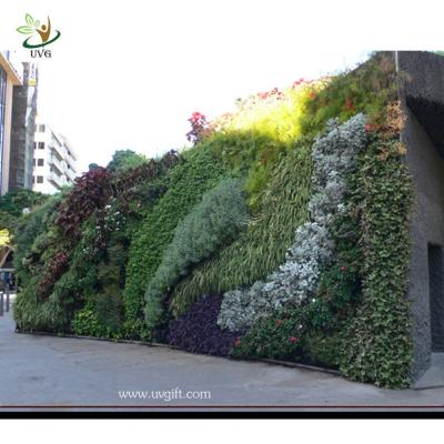 China UVG Green Vertical Wall Garden Fake Plastic Plants Grass Walls for Landscaping 50x50cm for sale