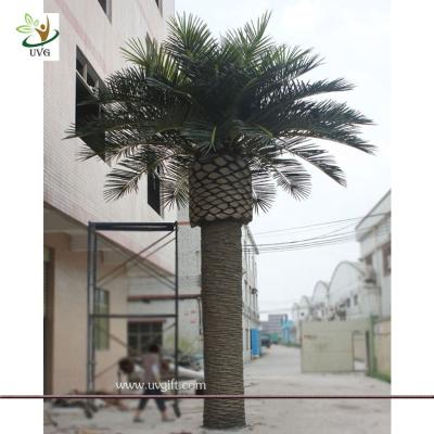 China Wholesale 20FT Artificial Coconut Palm Tree Silk Leaf UVG for Park Decoration for sale