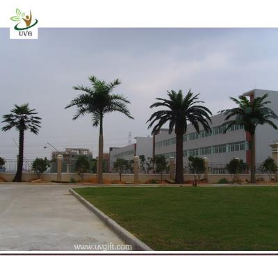 China UVG PTR009 20ft Artificial Outdoor Palm Tree Fiberglass Trunk Park Decoration for sale