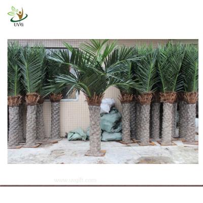 China Artificial Silk Coconut Tree UVG PTR001 1.5m Small Plastic Decorative Plant for Indoor Outdoor for sale