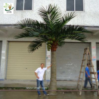 China UVG PTR002 20ft Artificial Palm Tree Big Trunk for Garden Decoration Wedding Favor for sale