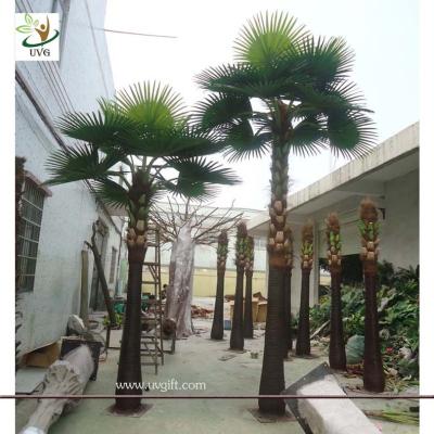 China 22ft Tall Artificial Palm Tree with Fan Leaves for Outdoor Park Landscaping for sale