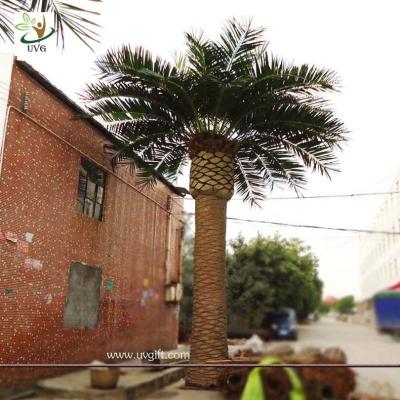 China UVG High Simulation Outdoor Artificial Date Palm Tree Fiberglass Trunk 12ft for sale