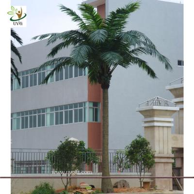 China UVG PTR008 8m Tall Plastic Artificial Ornamental Palm Tree Wedding Decoration for sale