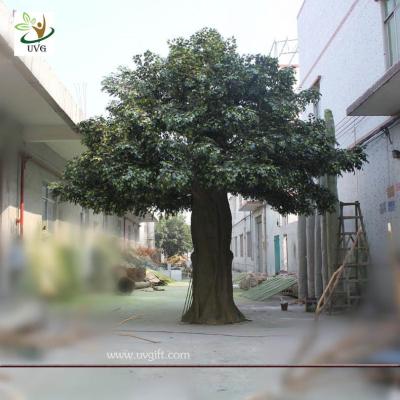 China Large Artificial Evergreen Banyan Tree 6ft UVG Outdoor Landscaping Decorative for sale