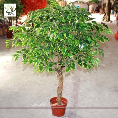 China UVG Indoor Artificial Miniature Banyan Tree Plastic Leaves Home Garden Landscaping 60cm Height for sale