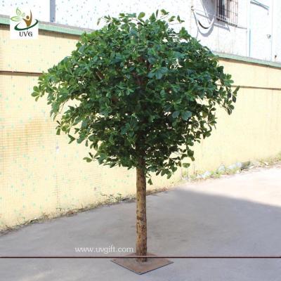 China Wholesale 6ft Green Artificial Money Tree UVG GRE024 for Restaurant Decoration for sale