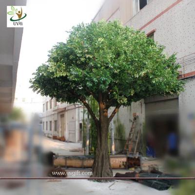 China UVG Artificial Green Christmas Decoration Tree 6ft Silk Leaves Festival Landscaping for sale