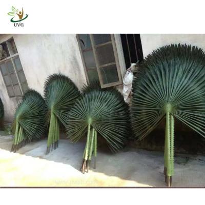China UVG Material UV Fake Palm Fronds Silk Leaves Outdoor Landscaping 6ft for sale