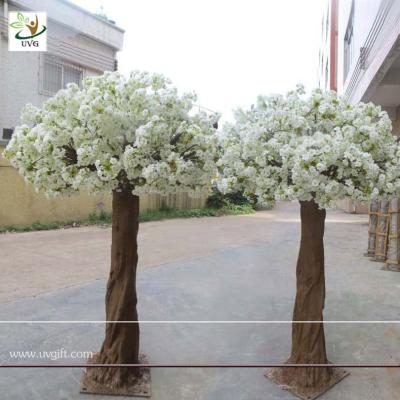 China Artificial White Cherry Blossom Tree UVG CHR06 1.8m High Simulation Silk Flowers for Indoor Decor for sale