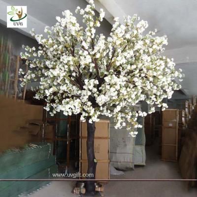 China Artificial White Cherry Blossom Tree 1.5m Indoor Decoration UVG Fake Wedding Plant for sale