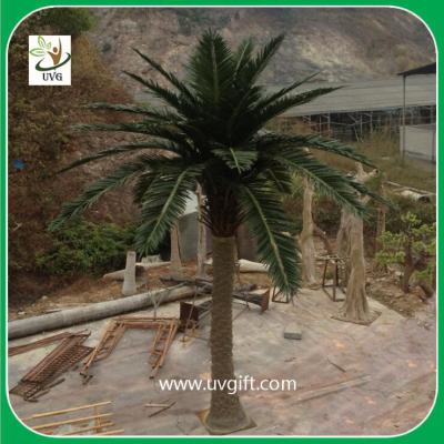 China UVG PTR029 5m Fiberglass Fake Palm Tree for Outdoor Amusement Park Decoration for sale
