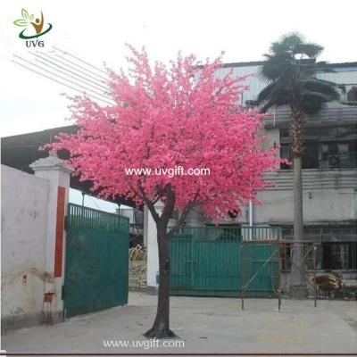 China Artificial Cherry Blossom Tree 6m Tall UVG CHR117 for Indoor Outdoor Decoration for sale