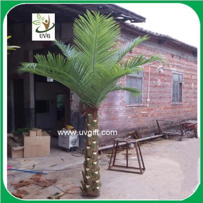 China Indoor Artificial Palm Coconut Tree 2m Height UVG Decorative for Hotel Landscaping for sale
