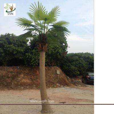 China UVG PTR038 Eco Friendly Decorative Outdoor Fake Palm Tree 8ft UV Resistant for sale