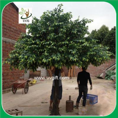 China UVG GRE045 Ornamental Green Banyan Artificial Tree Outdoor Office Decoration 6ft for sale