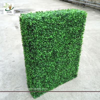China UVG GRS03 Indoor Decorative Plastic Artificial Boxwood Hedge for Party Landscaping 50x50cm for sale