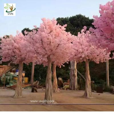 China Faux Japanese Cherry Blossom Trees UVG CHR128 for Wedding Stage Decoration 1.5m 2.5m for sale