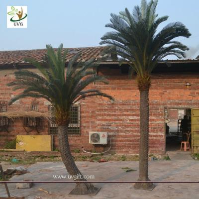 China Artificial Phoenix Hanceana Naud Palm Tree UVG PTR55 2.5m Indoor Decorative for Park Landscaping for sale