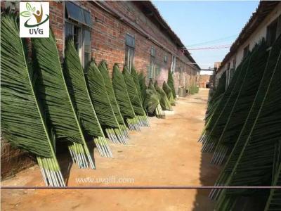 China UVG custom made indoor plastic coconut palm tree artificial leaves for beach landscaping PTR041 for sale