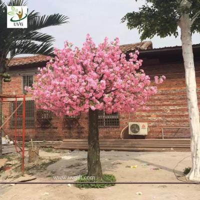 China Silk Cherry Blossom Tree UVG CHR142 for Wedding Stage Backdrop Decoration 6ft for sale