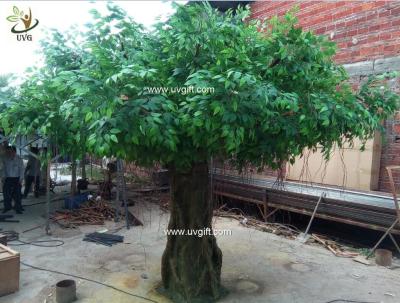 China UVG Glassfiber Indoor Green Fake Banyan Tree Tall Silk Tree for Shopping Center Decoration for sale