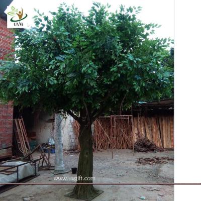 China Realistic Banyan Artificial Tree 13ft High UVG Indoor Outdoor Walkway Decoration for sale