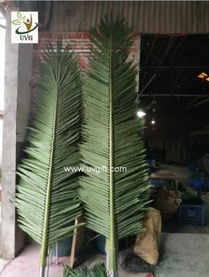 China UVG Level 8 Wind Resistant Artificial Palm Tree Branches Leaves for Theme Park Landscape PTR057 for sale