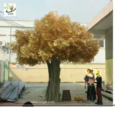 China Artificial Big Banyan Tree 18ft Tall Golden Silk Leaves Indoor Decoration GRE058 for sale