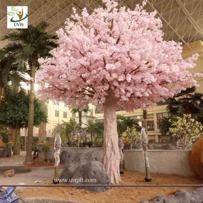 China UVG Indoor Artificial Cherry Blossom Tree 1.8m Pink Flowers Water World Decoration CHR153 for sale