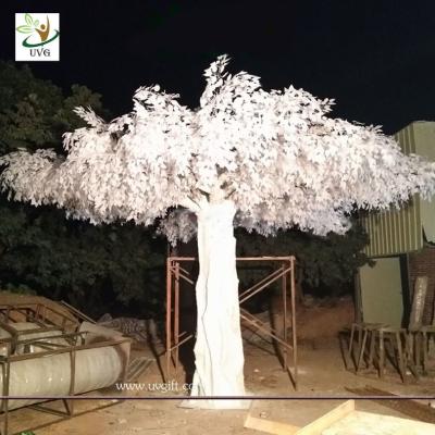 China Large 5.5m White Silk Banyan Artificial Tree for Window Display UVG GRE064 for sale