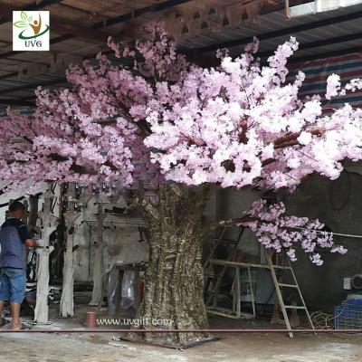 China Large Indoor Artificial Cherry Blossom Tree UVG Event Decoration 2m Height for sale