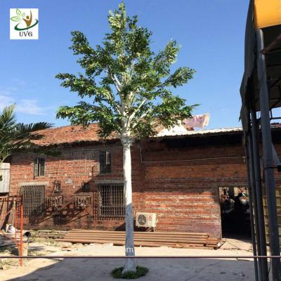 China 20ft UVG Synthetic Artificial Ornamental Tree with Banyan Branches GRE067 for sale