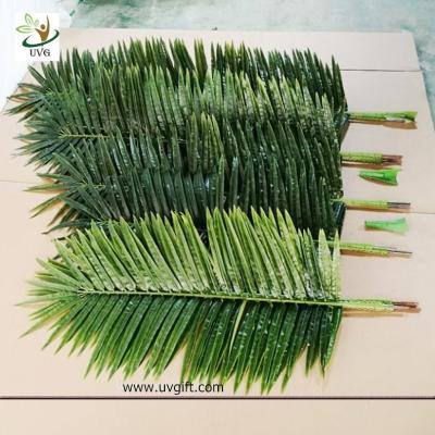 China UVG Plastic Artificial Palm Tree Fronds PTR062 for Indoor Home Decoration 6 Leaves for sale