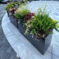 China Durable Stainless Steel Flowerpot Rust Resistant Home Decoration for sale