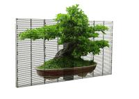 China Ultra Thin LED Display P12mm transparent glass advertising for sale