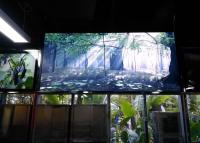 China Full Color IP20 P3.91mm Stage Indoor LED Screen Rental for sale