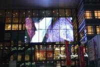 China Pantalla Giant IP40 P7mm 1000x1000mm Transparent Video Wall for sale