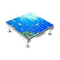 China P2.604 P2.976 P3.91 P4.81 China hd indoor outdoor rentals Screen floor led screen night club dance floor led display scr for sale