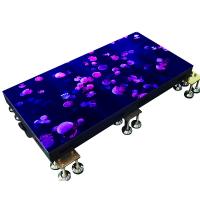 China Indoor outdoor P3.91 P4.81 P6.25 interactive dance floor led display screen HD floor tile screen for sale