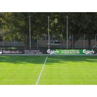 China P6 P8 P10 Smd Outdoor Large Perimeter Advertising Display Panel Board Led Screen For Football Stadium Stadium LED displa for sale