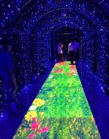 China P3.91 P4.81 P3 DJ Events Night Club Wedding LED Dance Screen Outdoor Indoor Portable Interactive Dance Floor LED Display for sale