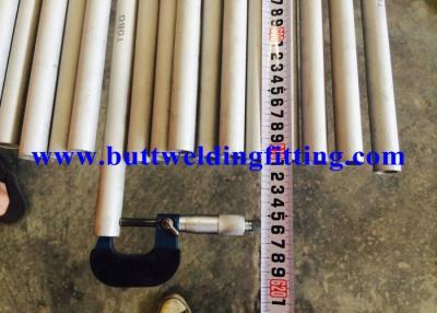 China 304L Stainless Steel Seamless Tubing 9.5-219mm OD Hot Rolled Pipe for Oil Gas for sale