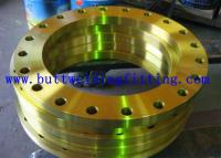 China C71640 Forged Copper Nickel Flanges 1/2-48 Inch ANSI B16.5 for Chemical Construction for sale