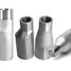 China A105 SS304 Thread NPT Union Swaged Nipple for sale