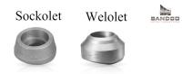 China Forged Steel Weldolet UNS S31803 Class 3000 Pipe Fitting 4x2 Inch SCH160 for sale