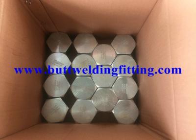 China Forged Steel Hexagonal Nipple 2 Inch 3000 PSI NPT A105 Galvanized Pipe Fitting for sale