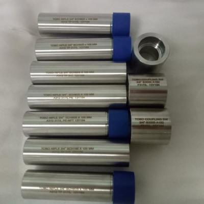 China Forged Threaded Pipe Nipple A312 TP317L Stainless Steel 1/2-12 Inch SCH80 for sale